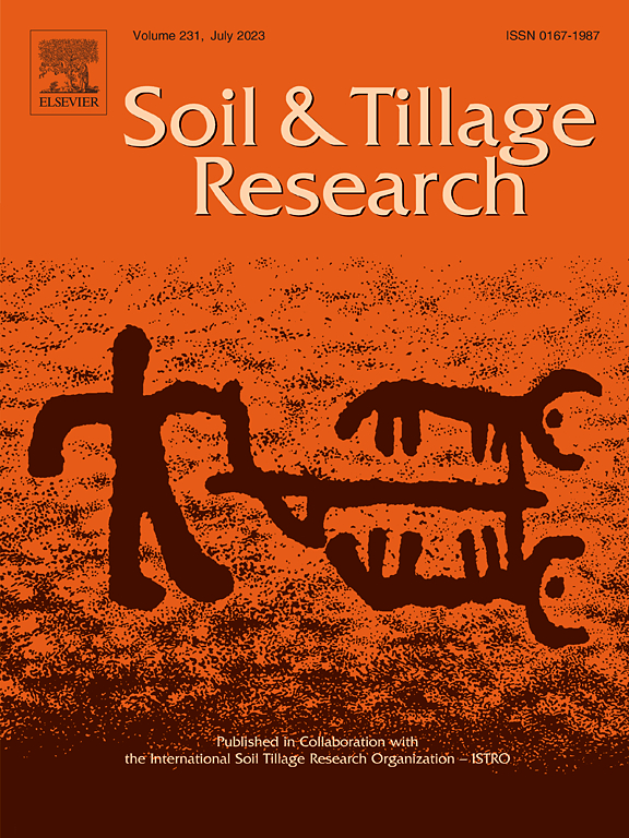 Long-term effect of tillage, nitrogen fertilization and cover crops on ...