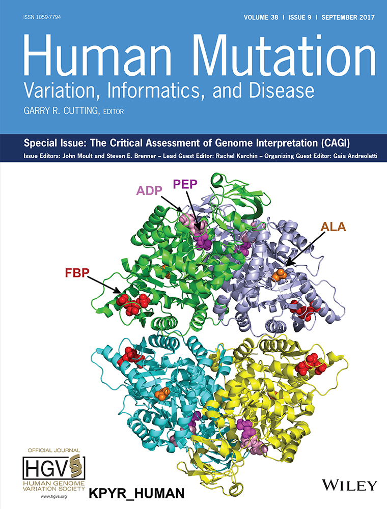 Myelin protein zero (MPZ) gene mutations in nonduplication type 1 ...